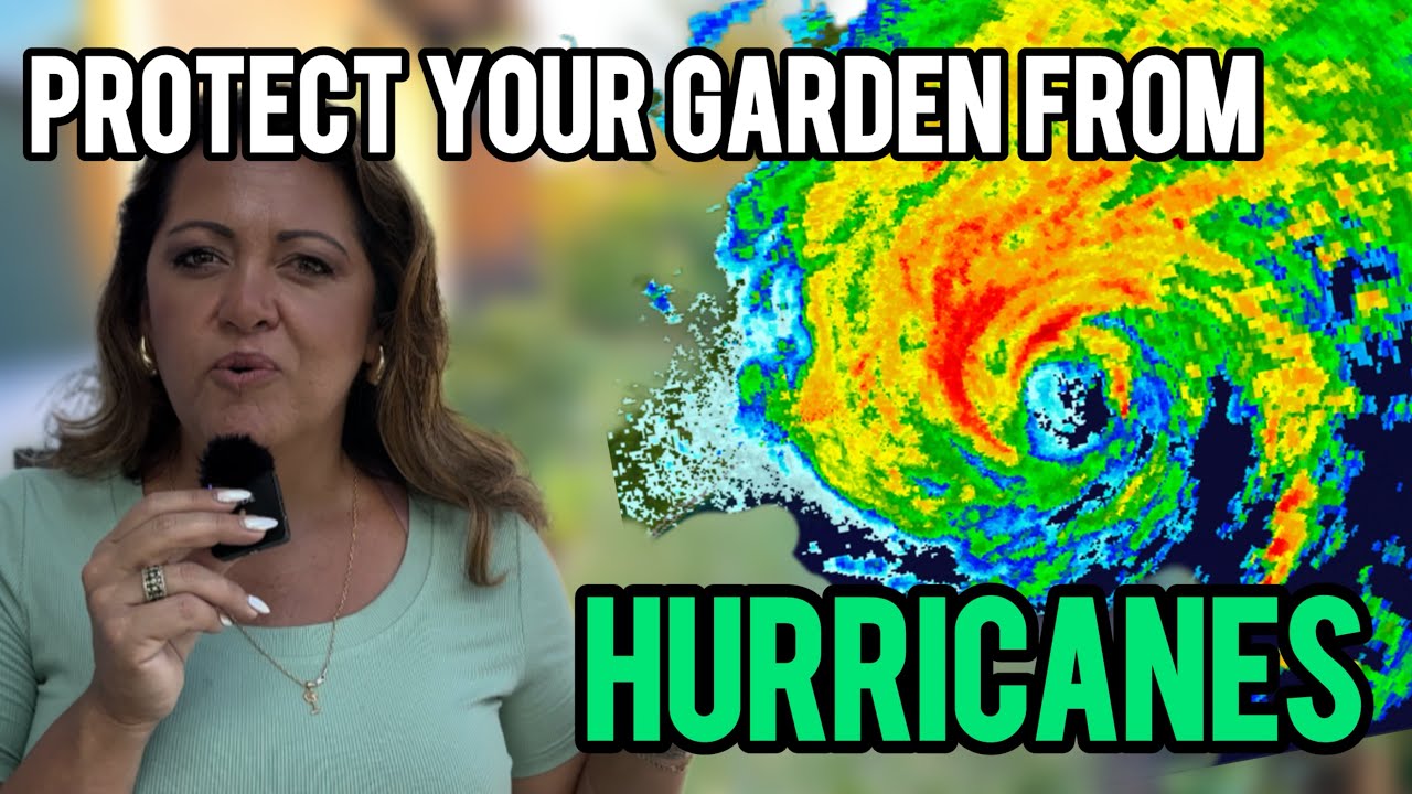 Hurricane-Proof Your Plants & Trees (How to Survive a Hurricane) - YouTube