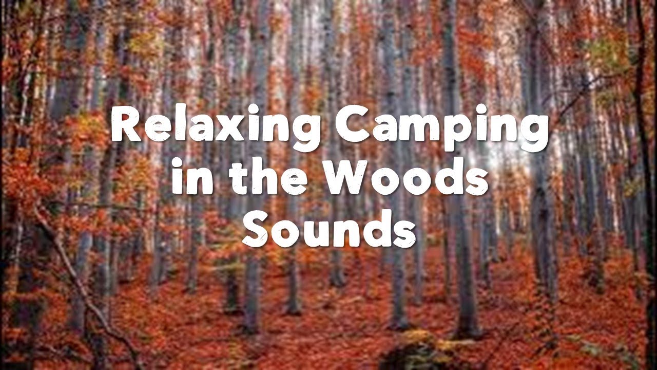 Almost 12 Hours of 1080p HD Camping in the Woods Sounds - YouTube