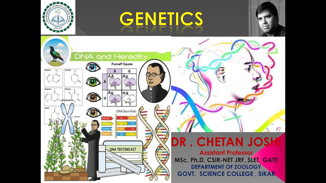 Genetics- 4 - YouTube