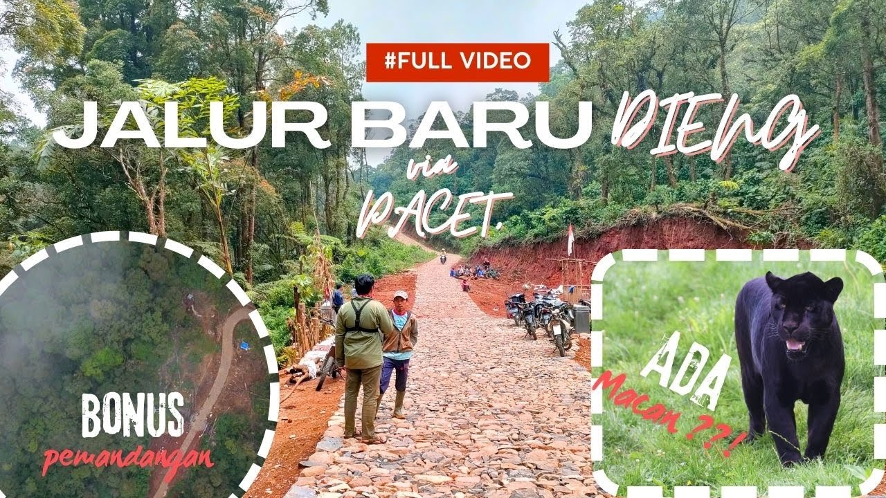 JALUR BARU DIENG via PACET BATANG|| Membelah hutan belantara namun ...