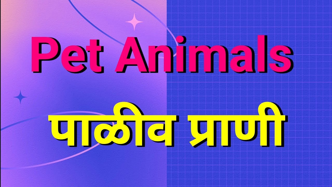 Pet Animals In Marathi And English Y pet-animals-in-marathi-and-english-y