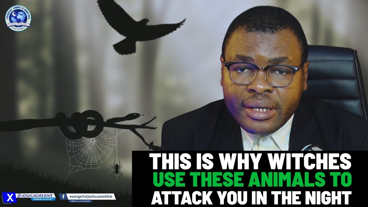 THIS IS WHY WITCHES USE THESE ANIMALS TO ATTACK YOU - YouTube