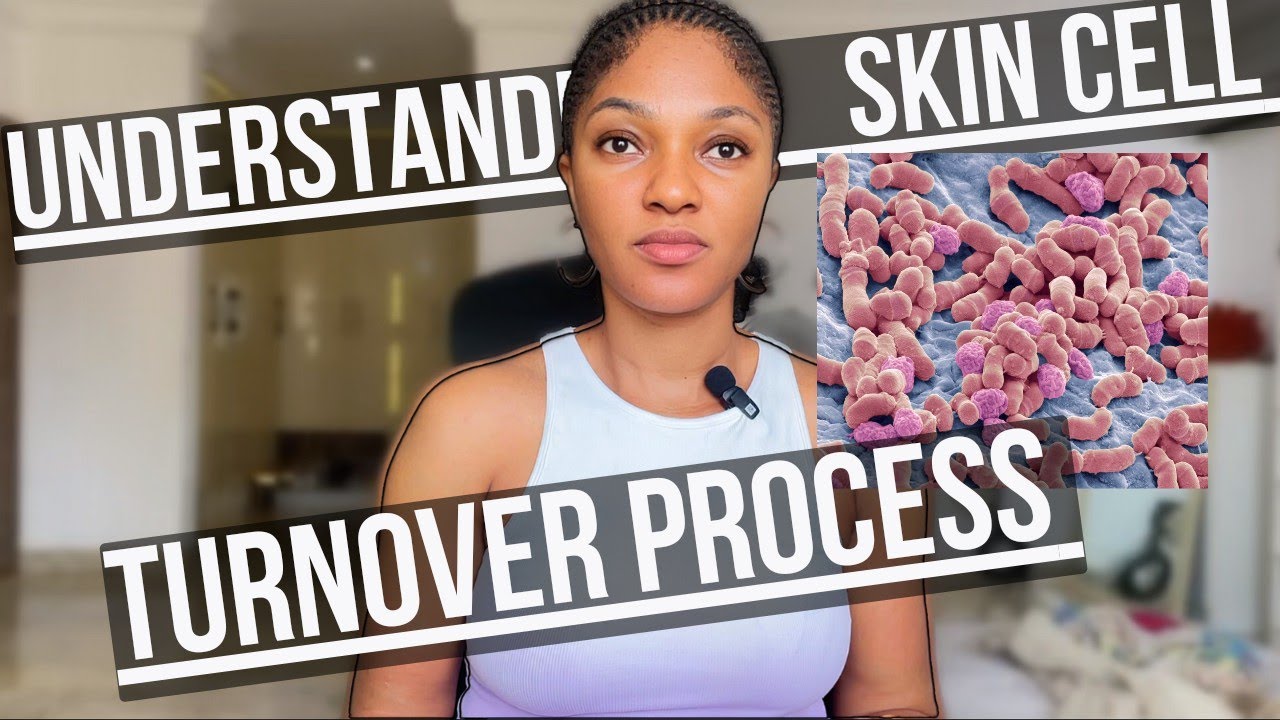 Understanding The Cell Turnover Process In The Skin: A Comprehensive ...
