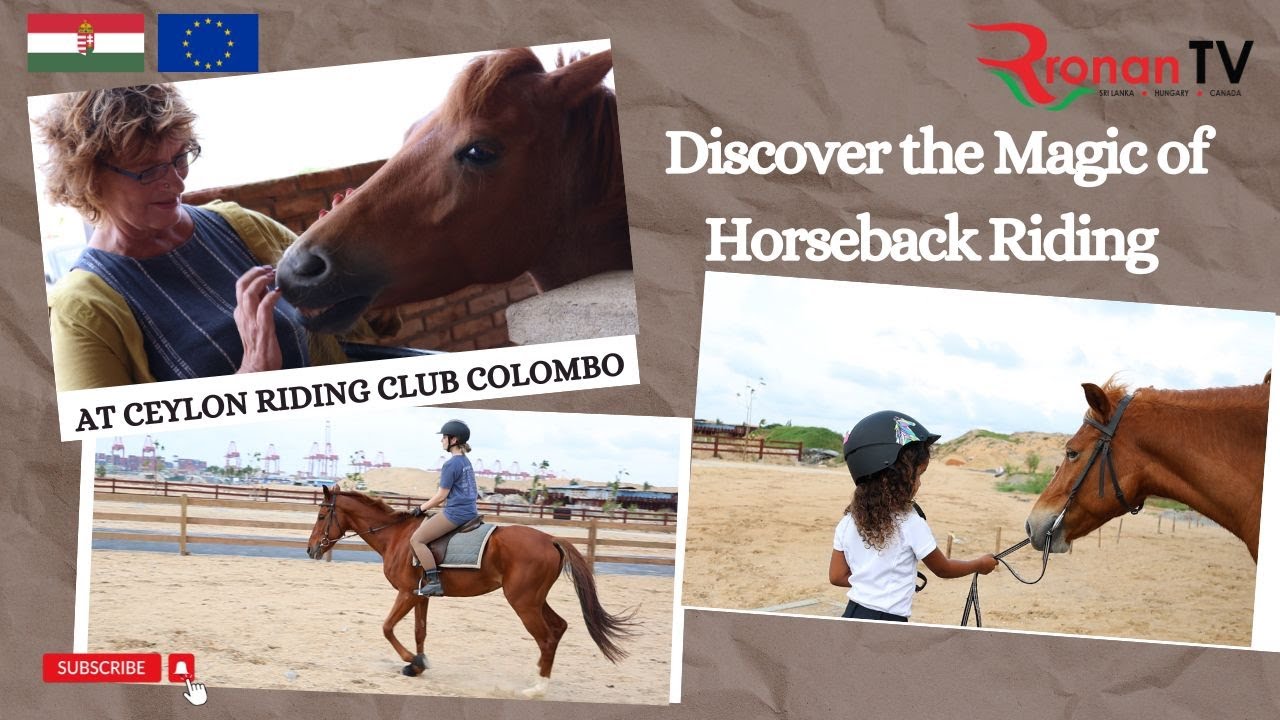 Discover the Magic of Horseback Riding at Ceylon Riding Club, Colombo ...