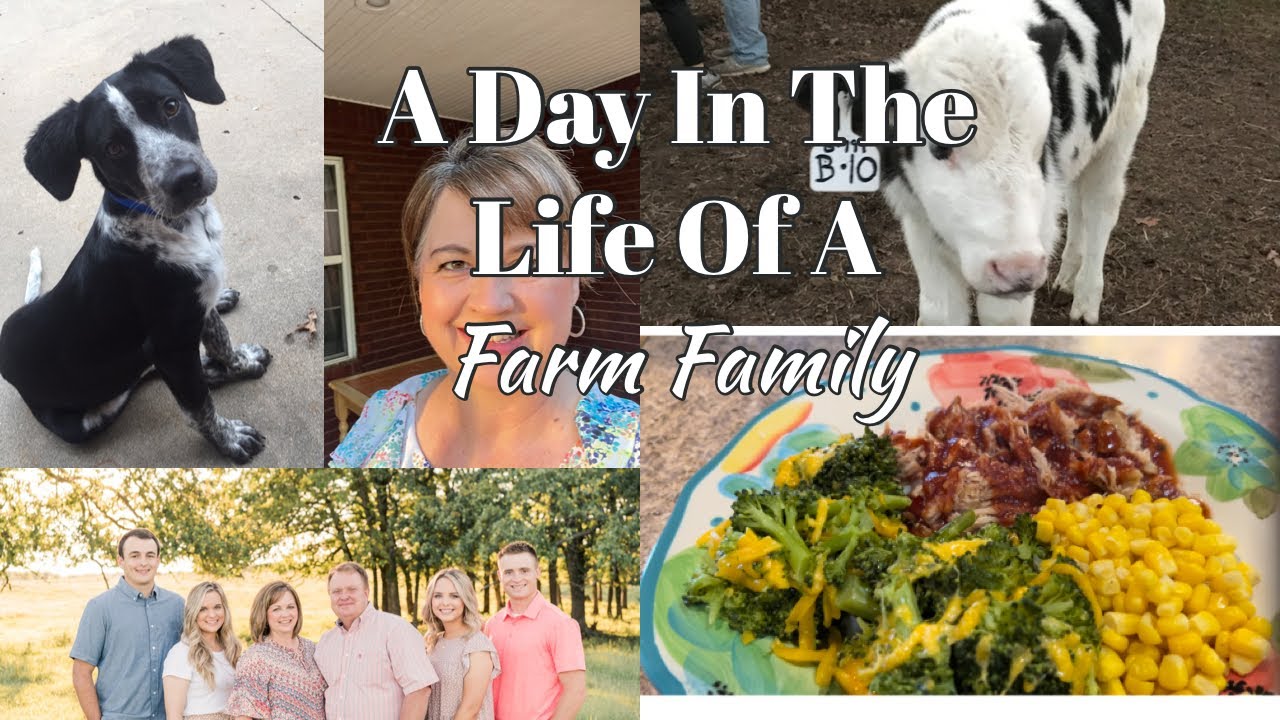 A Day In The Life Of A Farm Family. - YouTube