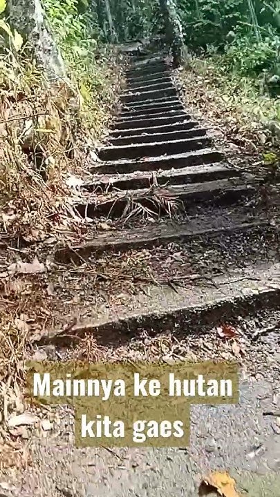 jalan2 ke hutan gaes - YouTube