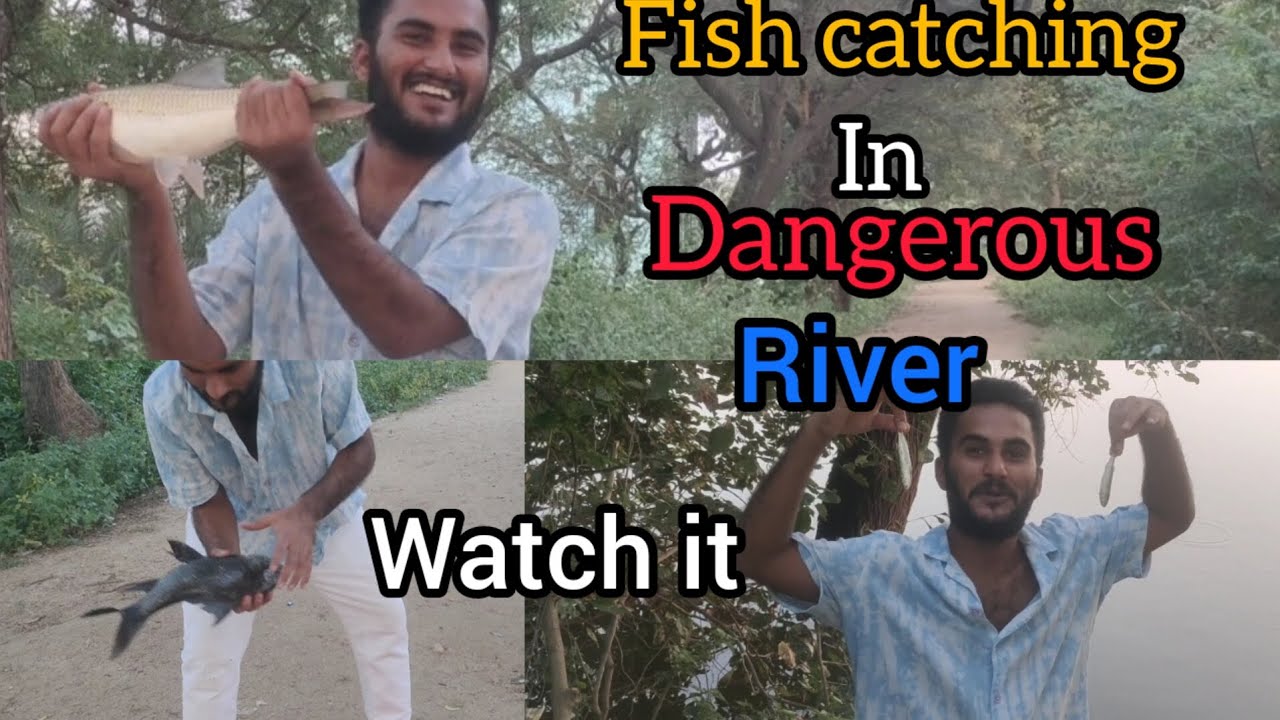 universal gana fish catching / in dangerous river 🔥 - YouTube