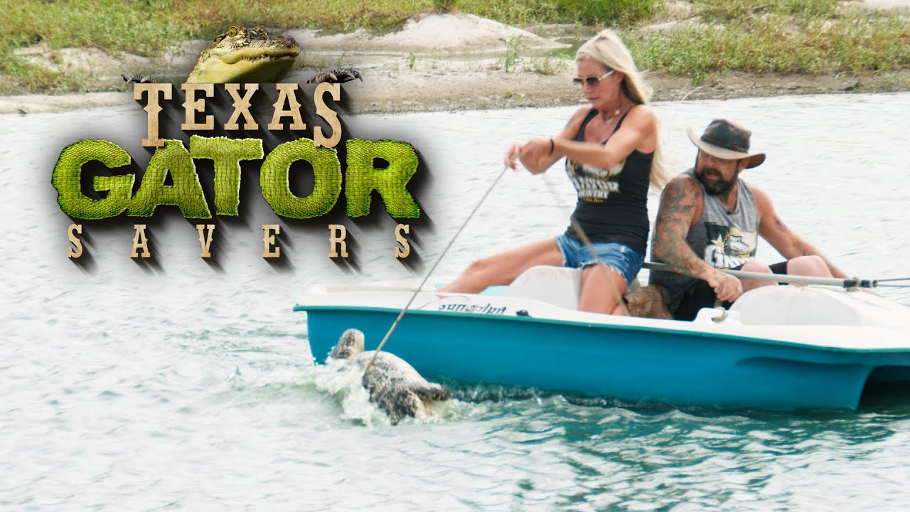 Super Strong Gator PULLS Paddle Boat | Texas Gator Savers Clip | EarthX ...