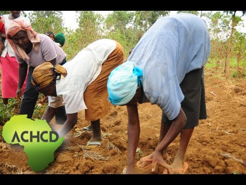 Introduction - The Kogi State Agriculture & Enterprise Development ...
