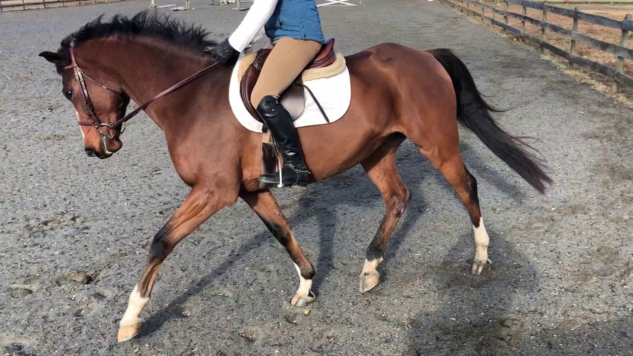 Sirrocco flatwork 2 - YouTube
