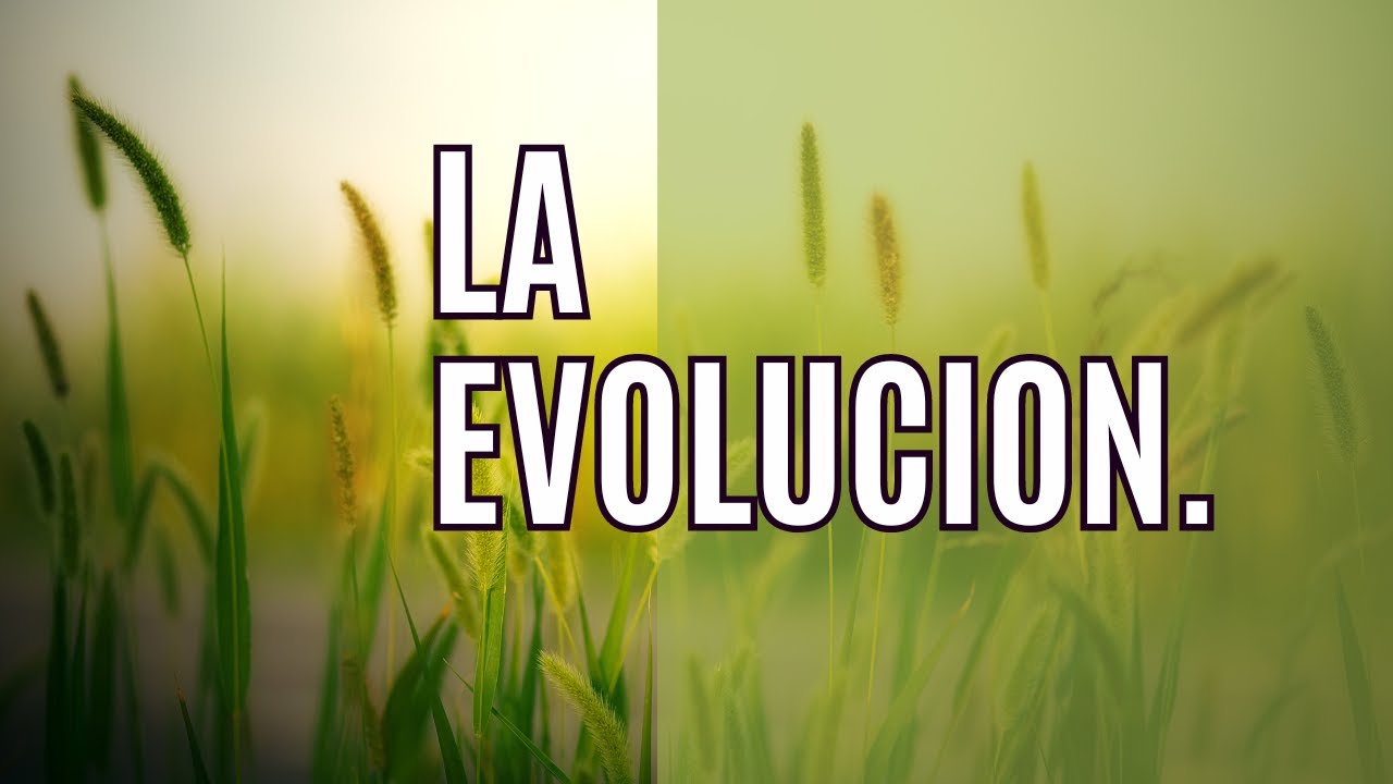 La Evolución: Adaptación y cambio morfológico y funcional de los ...