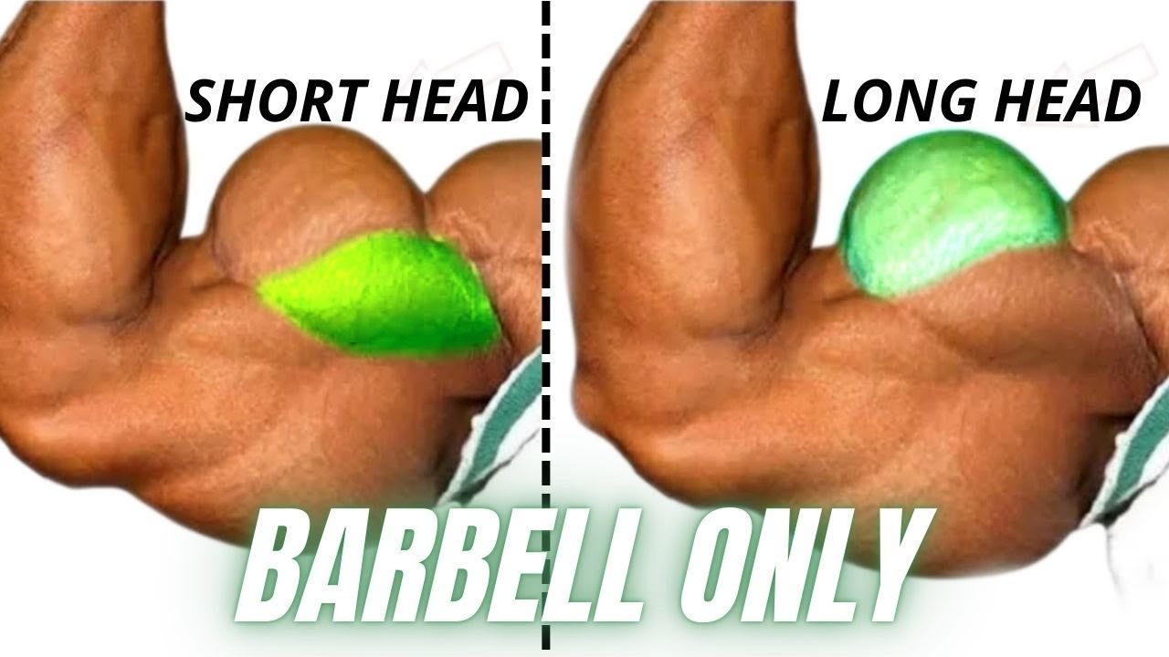 Top 4 best long head and short head biceps exercises at gym - YouTube