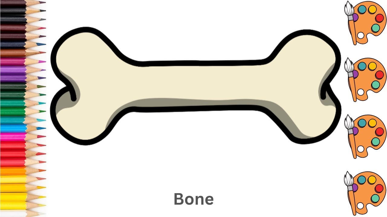 Bone - Sketch Art and Paint | Step by step tutorial | Pencil to Palette ...