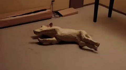 cute things exploding - YouTube