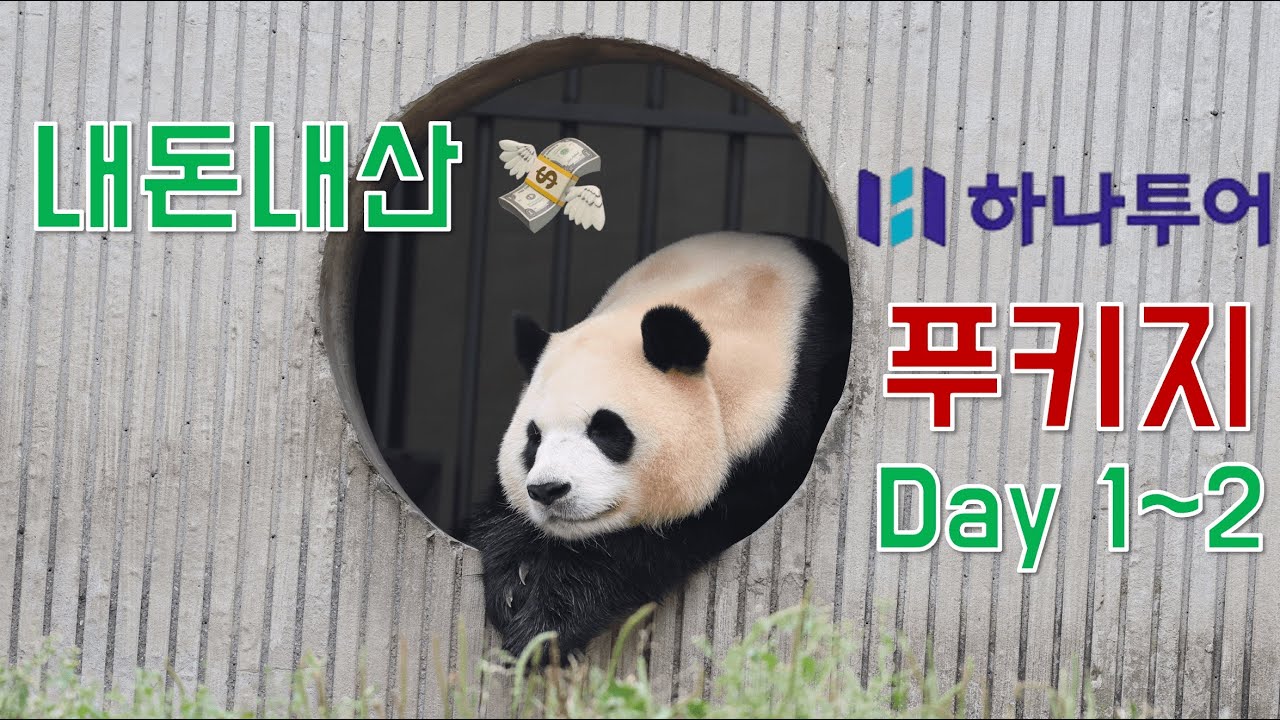 4k 임산부의 하나투어 푸키지 후기 Day 1and2 하나투어 푸바오 선수핑기지 Youtube