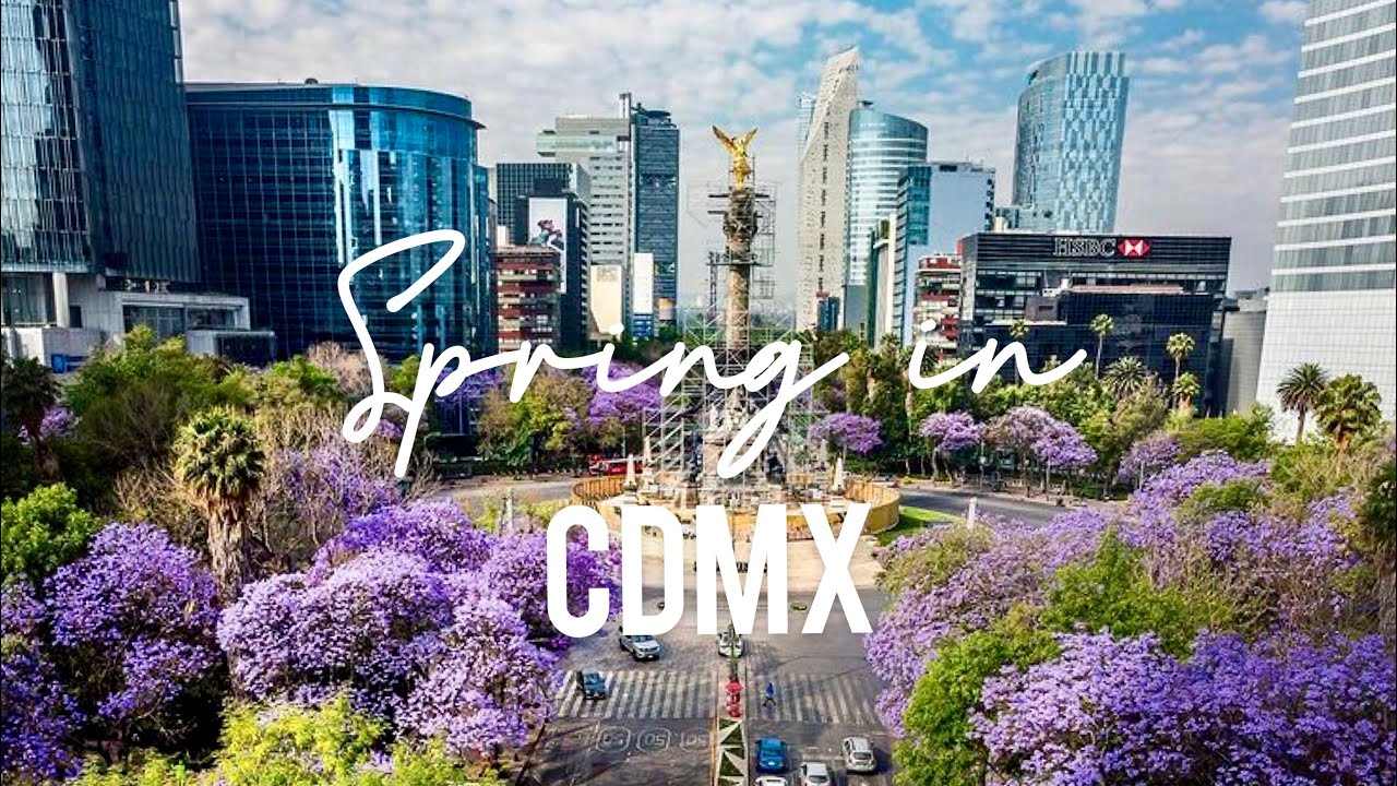 Spring in Mexico City | Best spots to see the Jacaranda Blossom Season ...