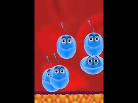 Talking bacteria john - YouTube