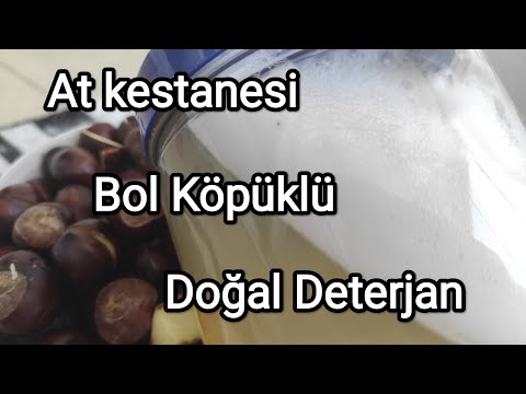 At Kestanesinden Deterjan Yapalım | At Kestanesi ile Temizlik 🧼 🌰
