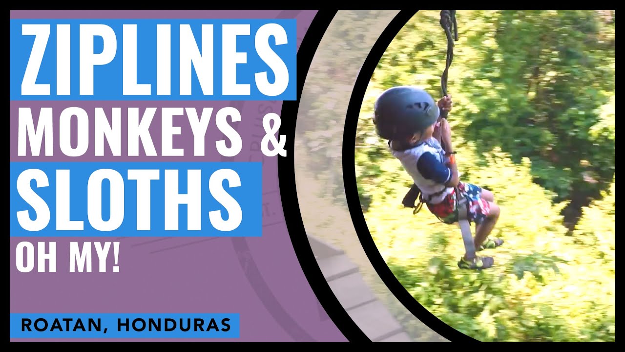 Zip Lines, Monkeys and Sloths Adventure In Roatan, Honduras. - YouTube