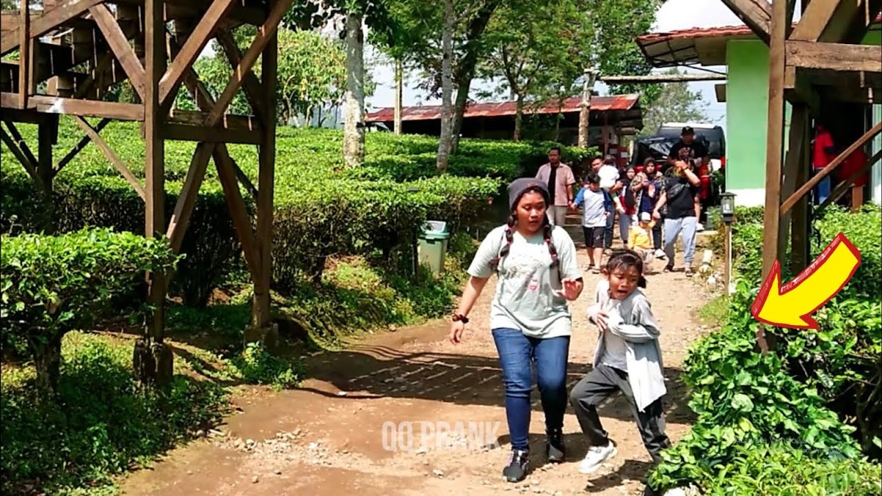 Epic Moment Bushman Prank..! Super Kocak - YouTube