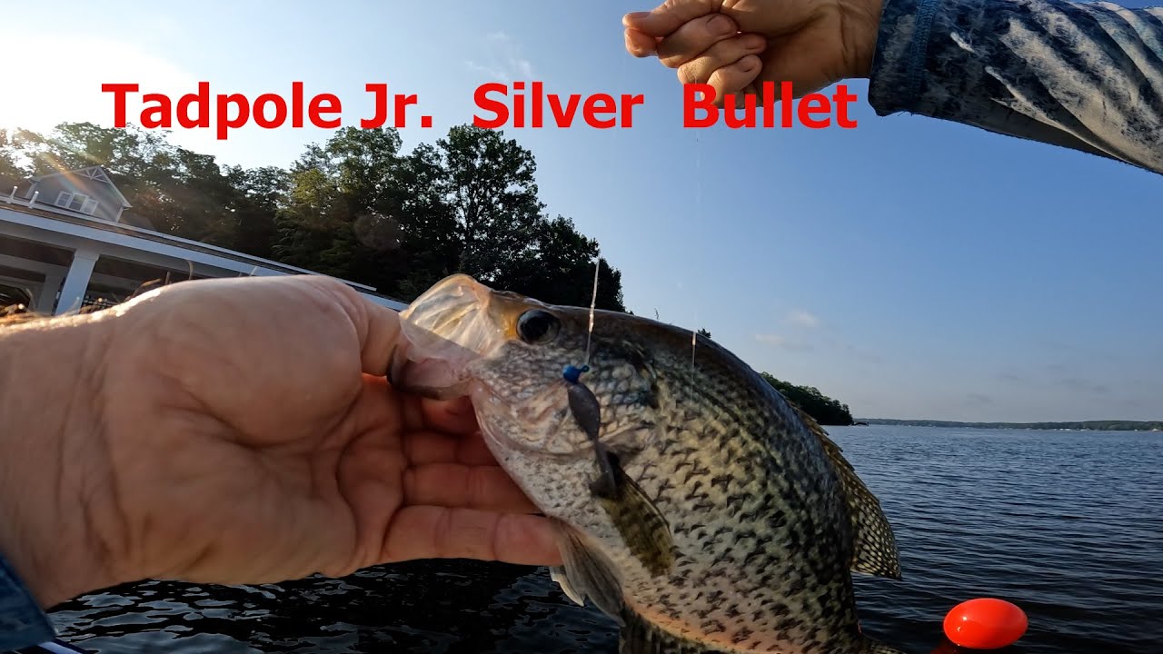 Silver Bullet Tadpole Jr. The Ultimate Crappie Weapon - YouTube
