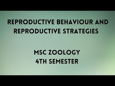 Reproductive Behaviour and Reproductive Strategies MSc Zoology 4th ...