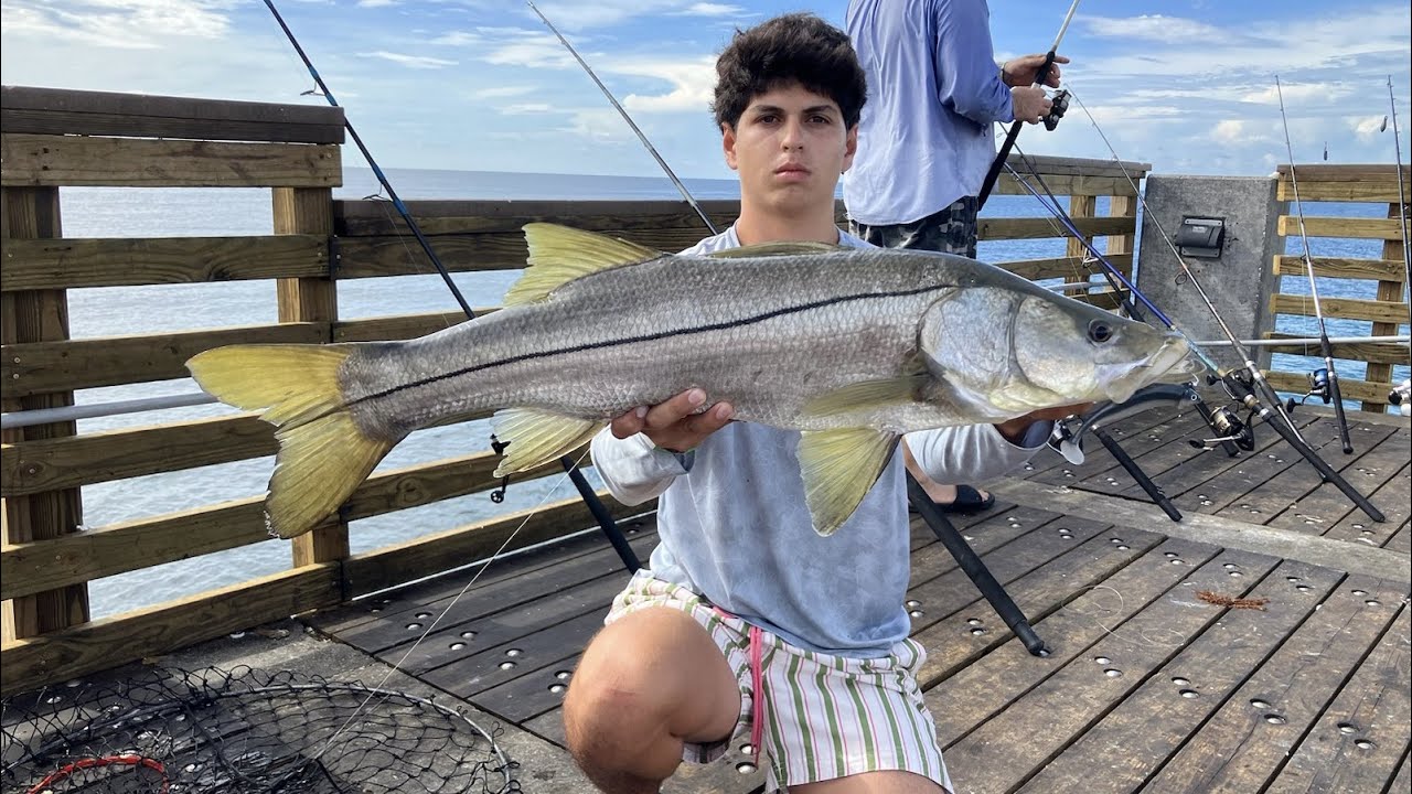 MONSTER SNOOK caught FISHING Dania Pier - YouTube
