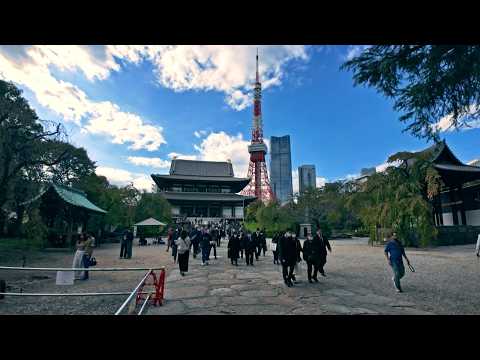 Japan City Walk [4K] Tokyo Tower, Zojo-ji Temple & Hamamatsucho