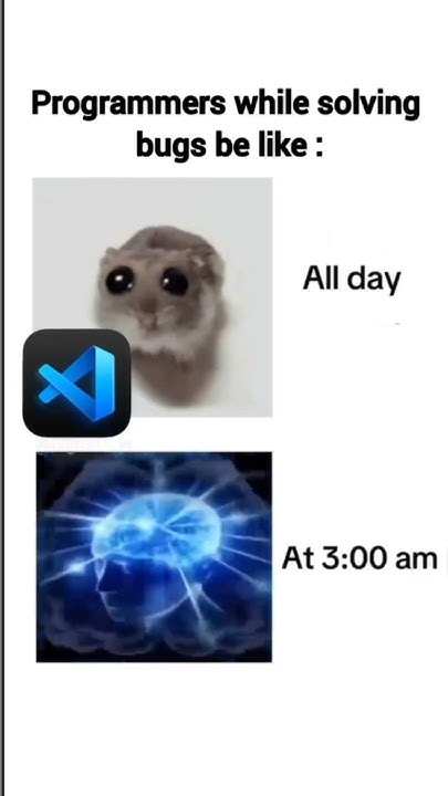 Programming Memes Codermemes Codingmemes Programminglanguage Phonk Music Audio Beats
