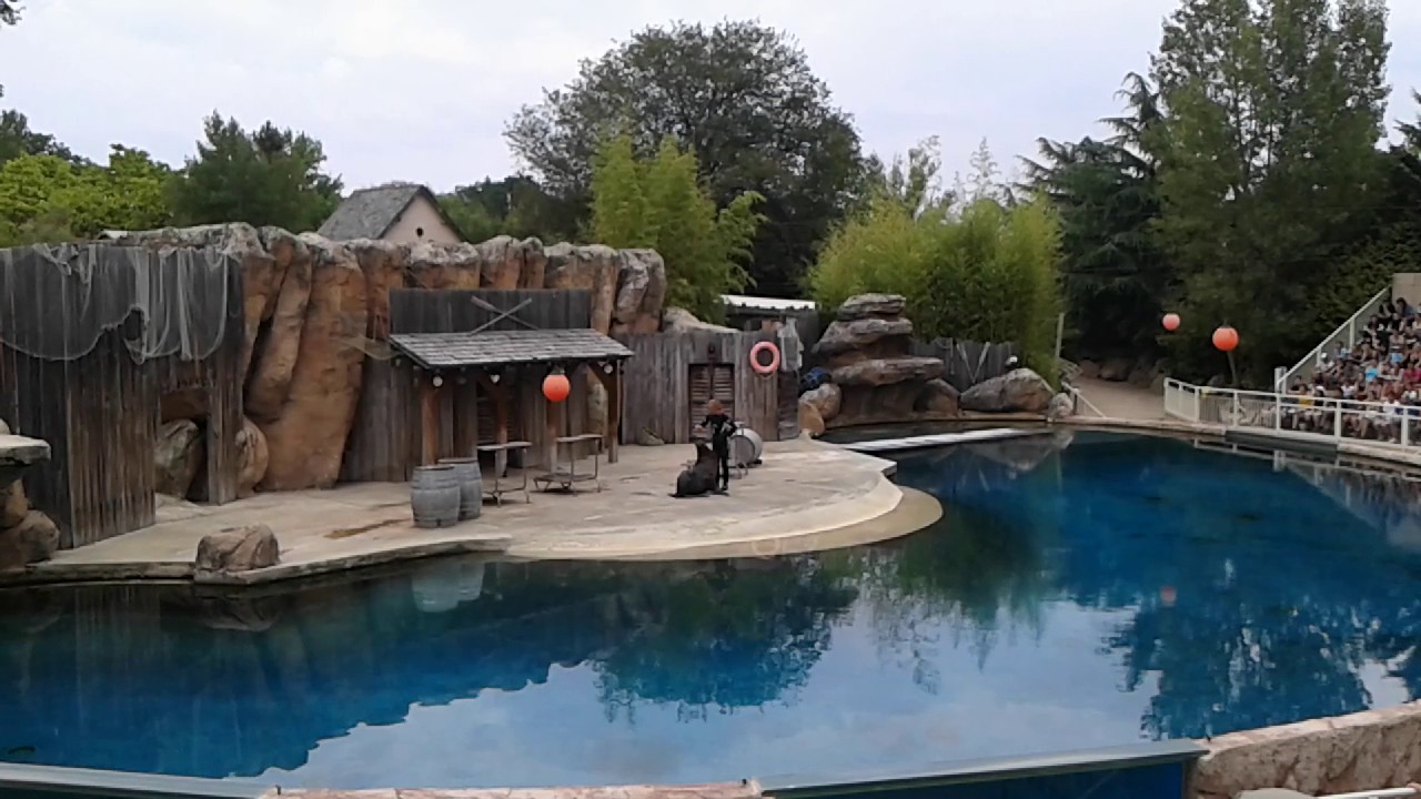 Spectacle d'otari - YouTube
