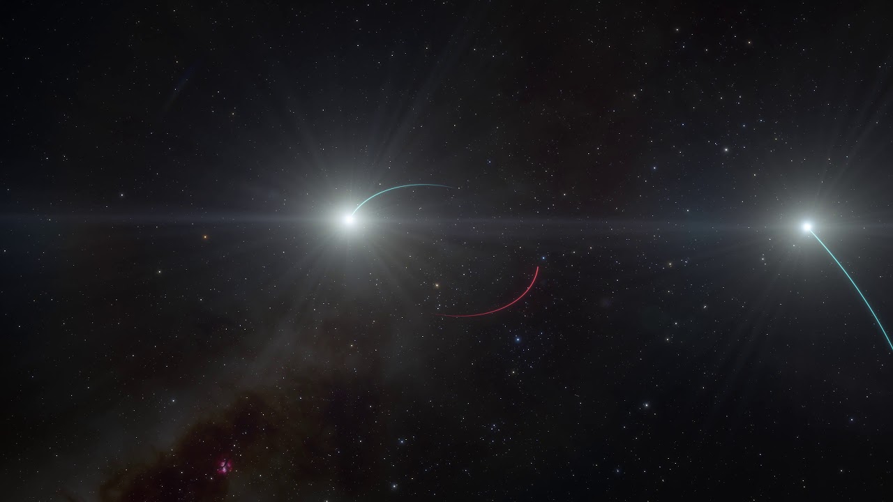 Pulsar In A Black Hole