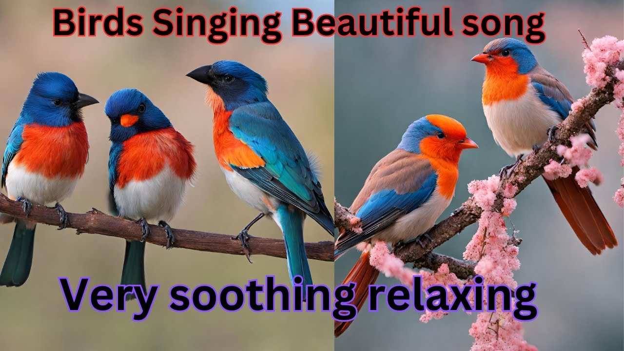 Birds Singing Beautiful Piano Music Soothing Relaxing video to make you ...
