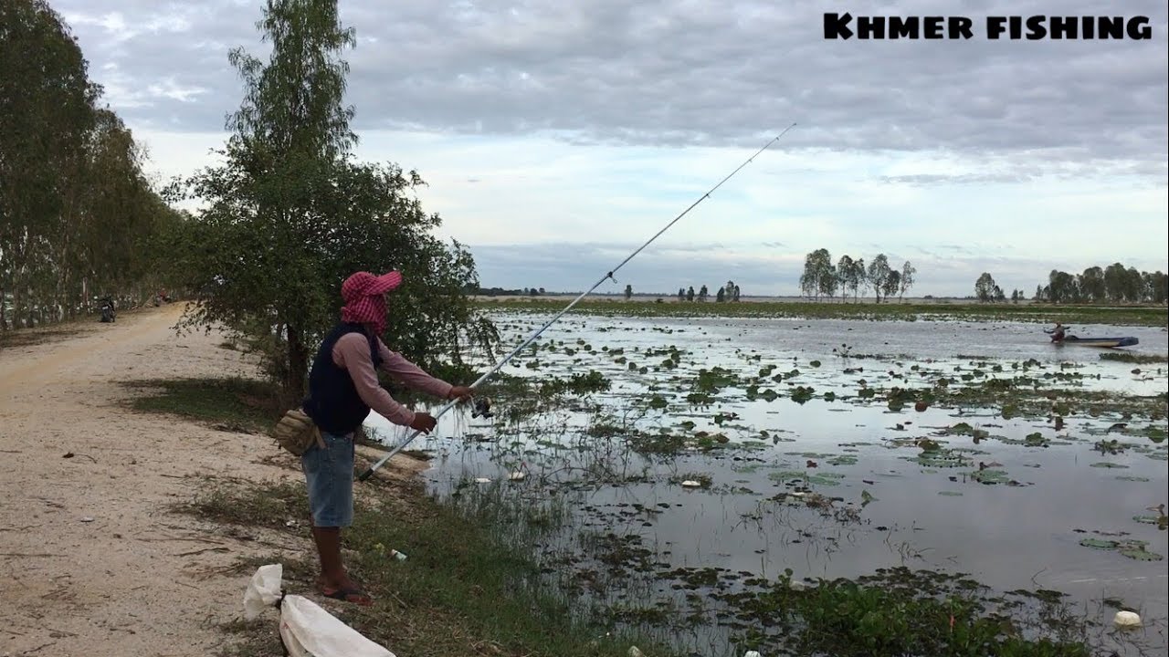 Awesome Fishing Technique - Fishing Traditional Technique Fish Near My ...