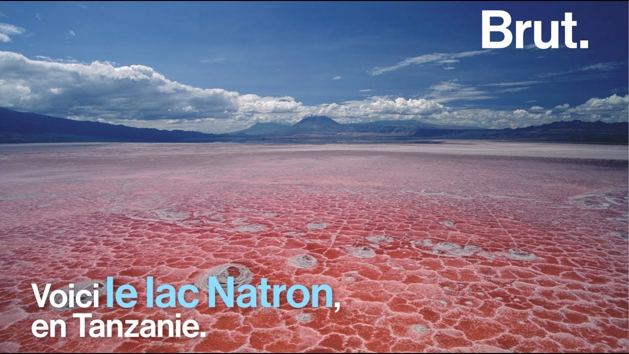 En Tanzanie, le lac Natron est menacé - YouTube