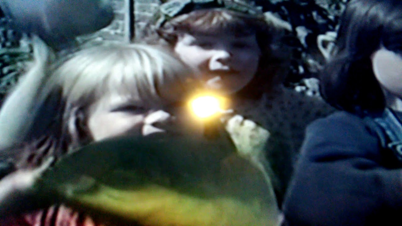 Teletubbies Funny Day Goodbye Scene #2 (For Colleen Ford - YouTube