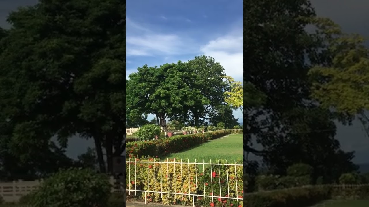 Beautiful weather today #shorts - YouTube