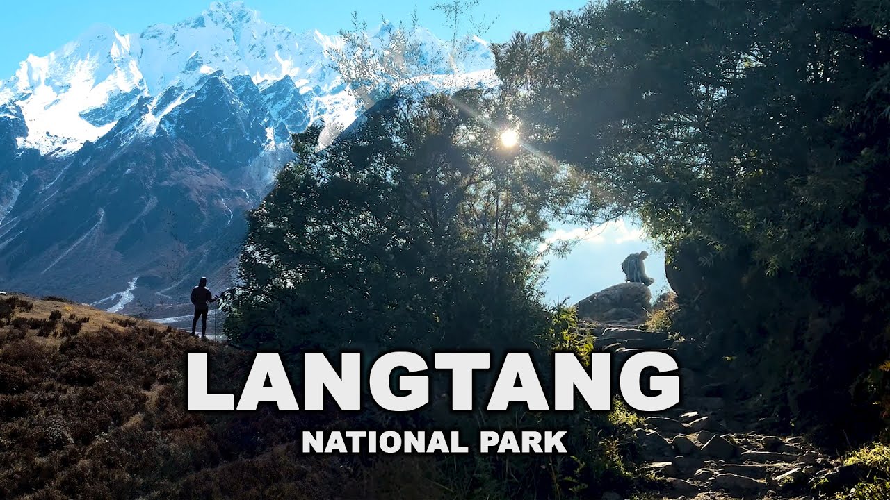 KICHAA - WALKING ALONE | TREK TO LANGTANG NATIONAL PARK ...