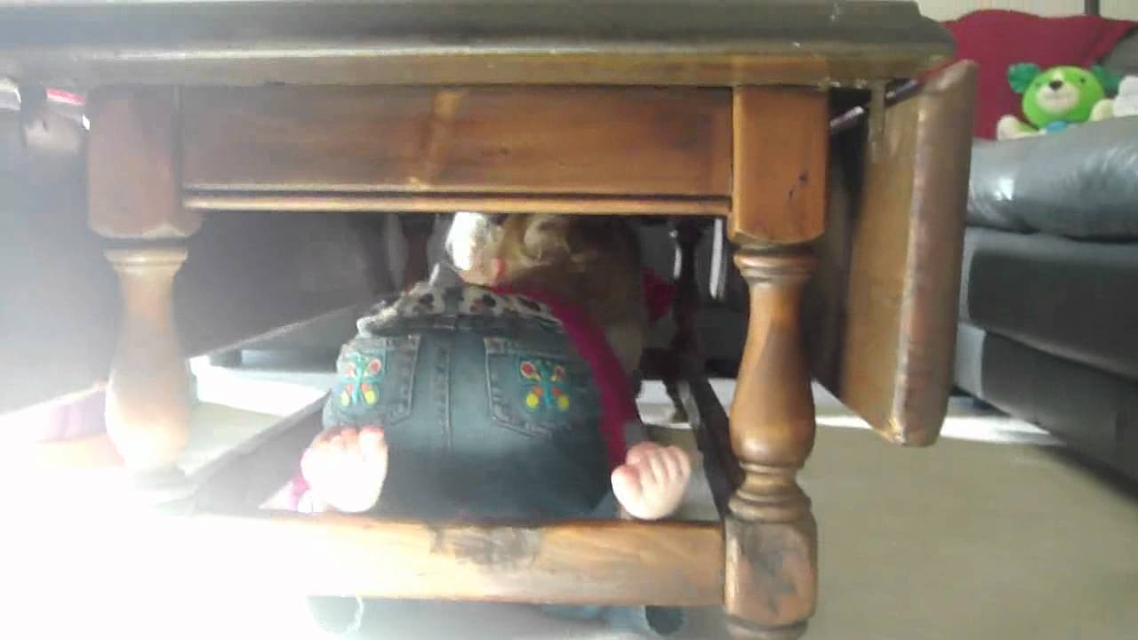 Table Tunnel - YouTube