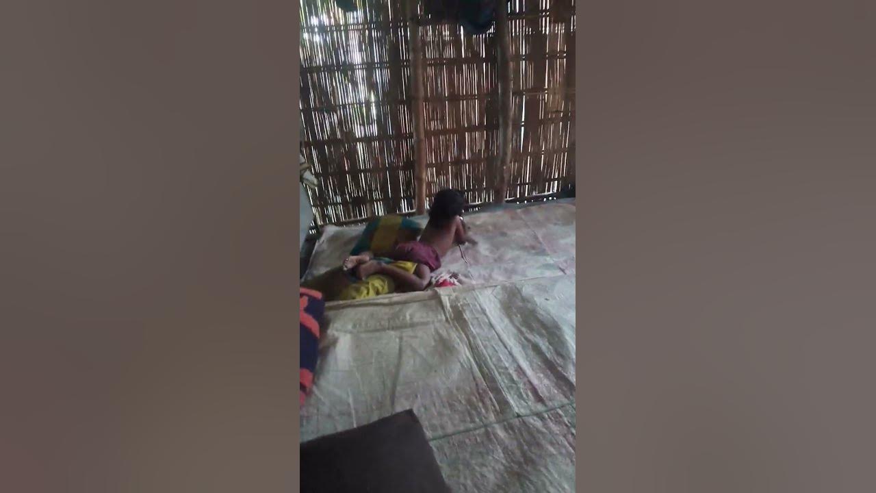 19 November 2024 - YouTube