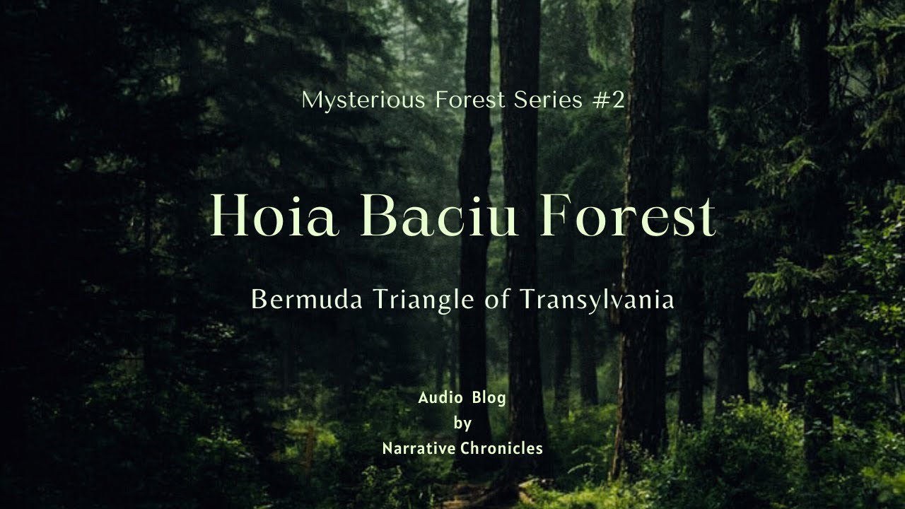 Hoia Baciu Forest : Bermuda Triangle of Transylvania,Romania - YouTube