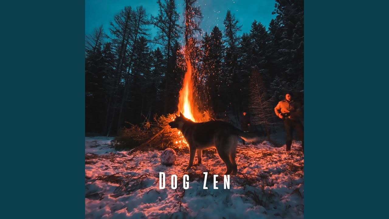 Gentle Fire Sounds for Dogs - YouTube