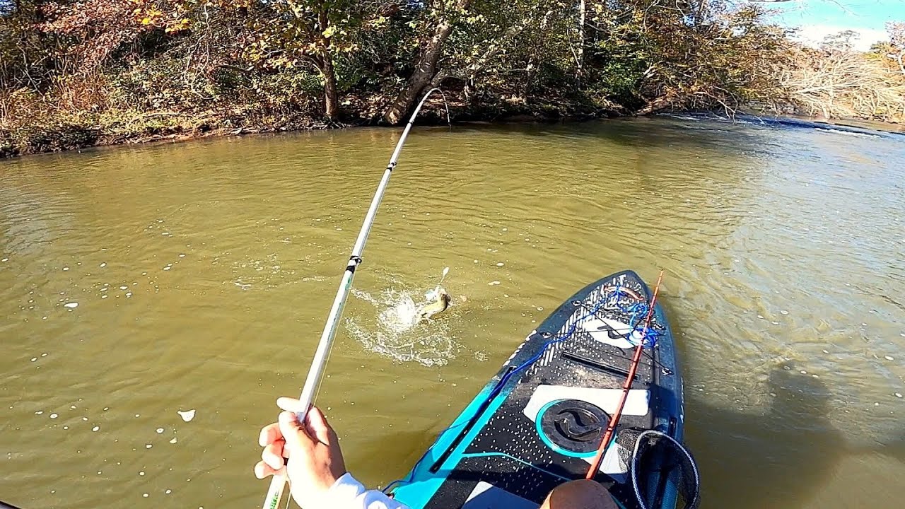 Muy Buenas Capturas Me Dio Este Rio(VIBE KAYAK CUBERA 120) - YouTube
