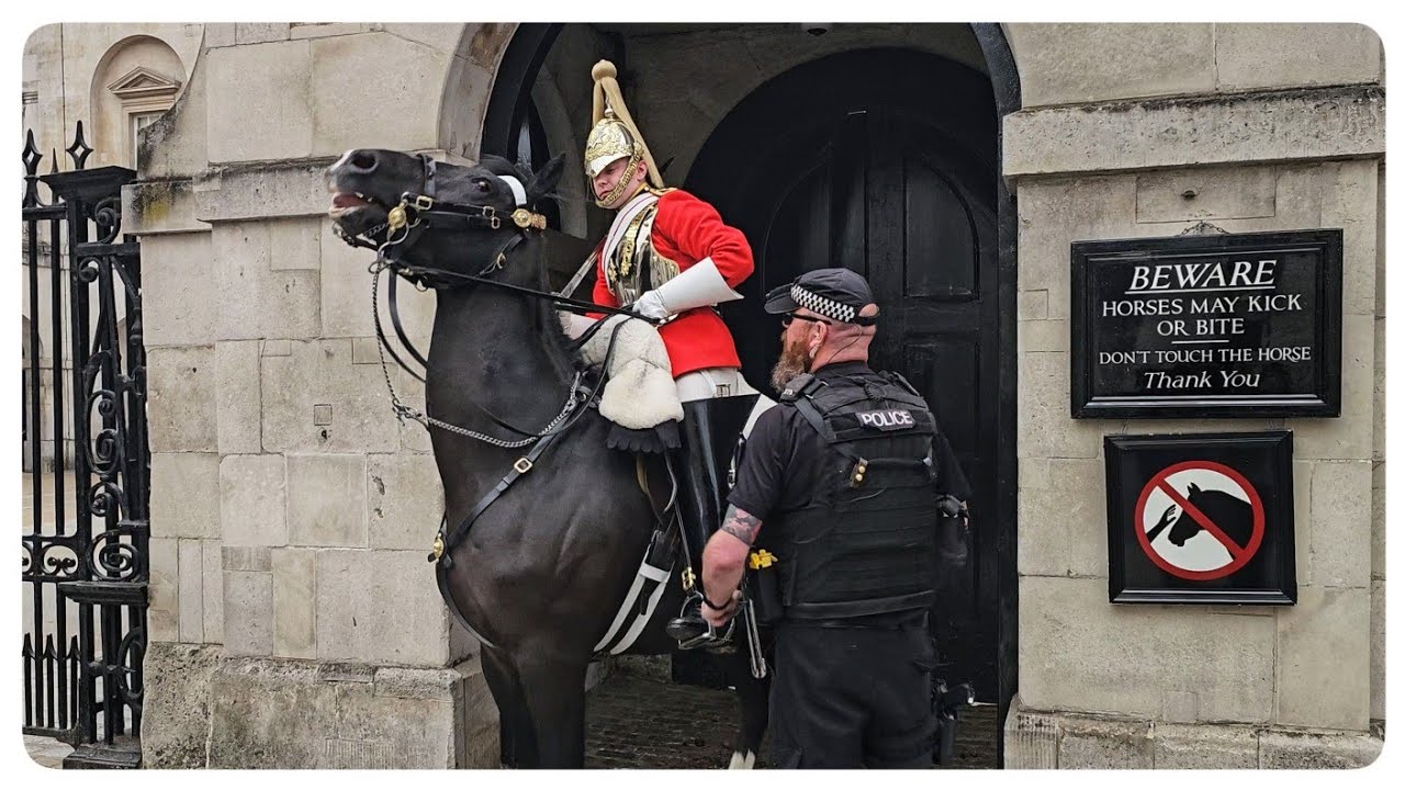 Kind Police Officer Tries to Calm Nervous Horse! - YouTube