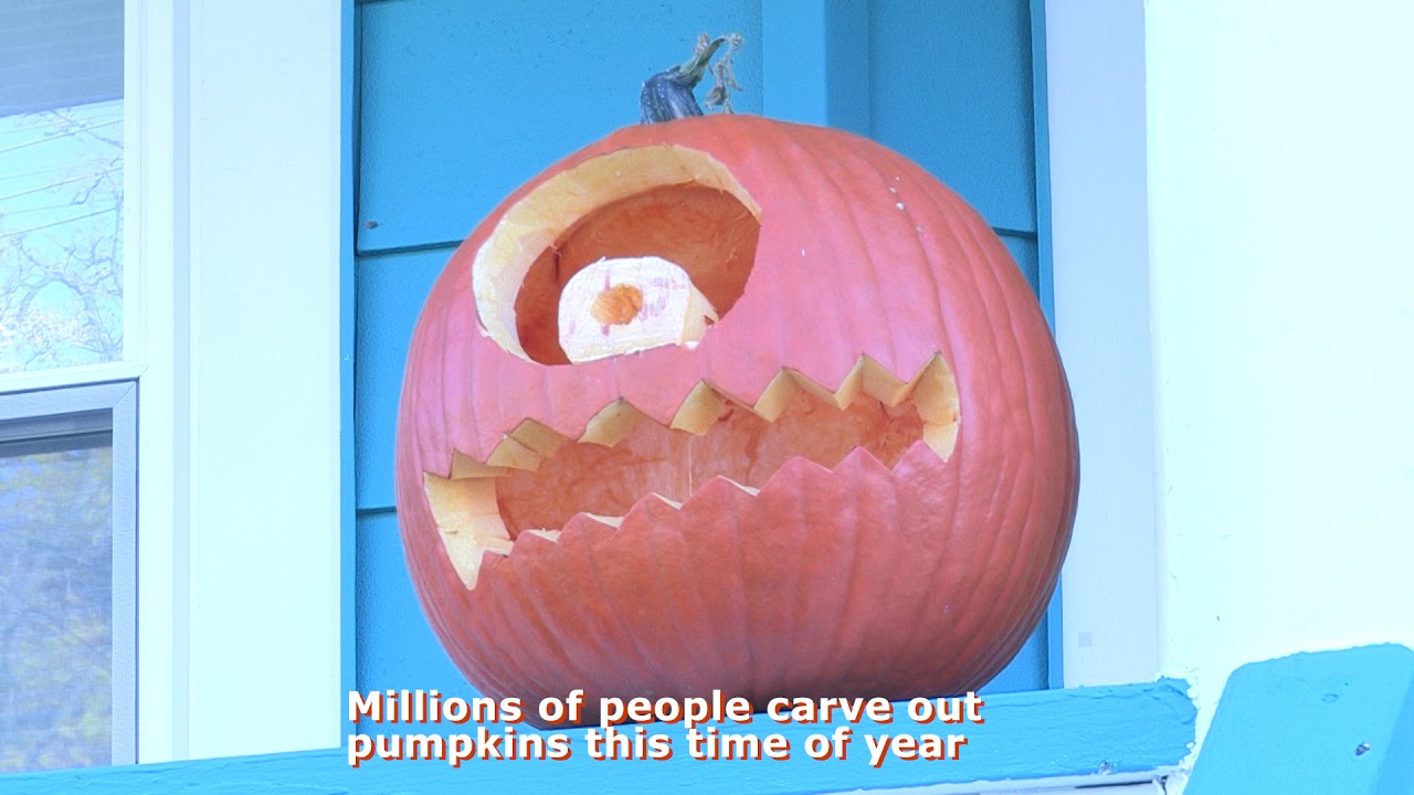 Origin Of The Jack O Lantern YouTube origin-of-the-jack-o-lantern-youtube