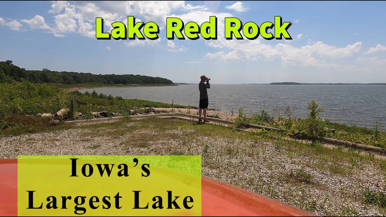 Strange Fish Spotted at Lake Red Rock - Iowa's Largest Lake - YouTube