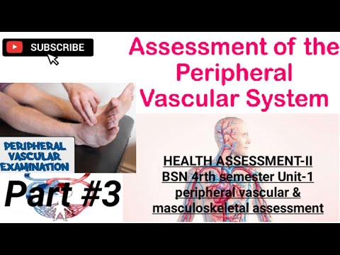 Assessment of peripheral vascular system||Health Assessment-II || BSN ...