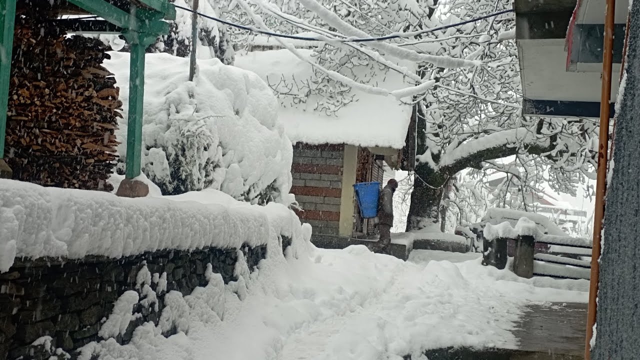First snow fall in Kullu Manali Himachal Pradesh 🌨️ - YouTube