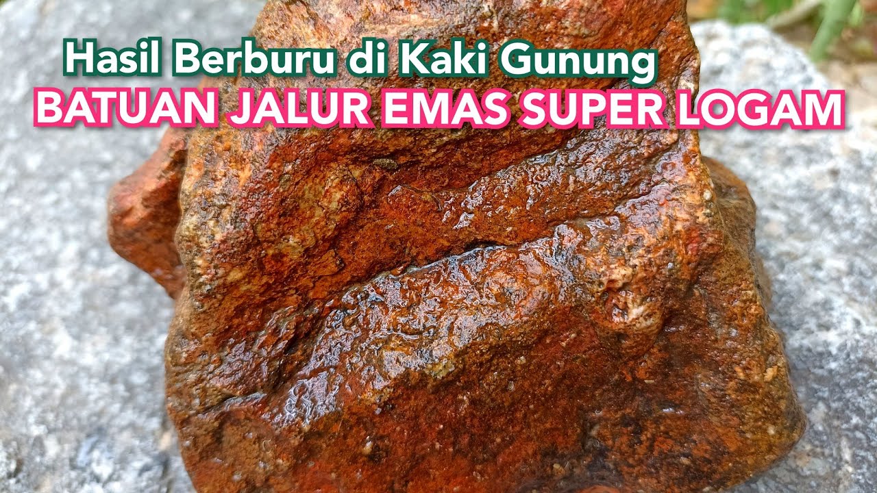 Batuan Emas Banyak Logam Mineral,Belajar Tambang Emas Mineral,Gold ore ...
