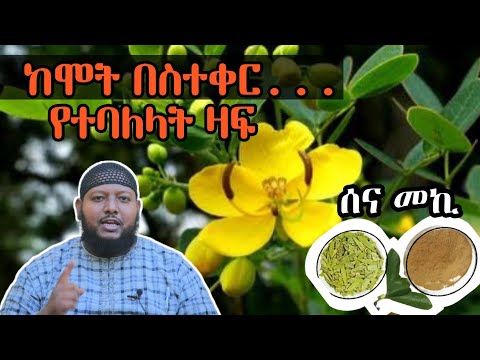 ሰና መኪ - ከሞት በስተቀር የተባለላት ዛፍ ጥቅሞቿ [ቅምሻ] ዶ/ር ዑስማን መሀመድ | Senna Meki | Dr Ousman Muhammed