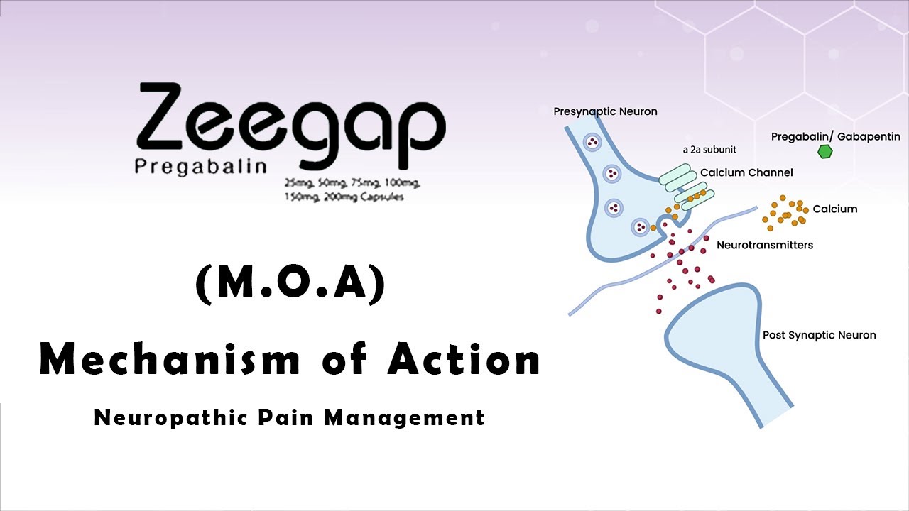 Zeegap (Pregabalin) – MOA & Clinical Benefits | Neuropathy, pDPN ...